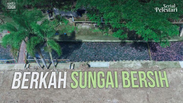 Watchdoc – Indonesia Documentary Channel