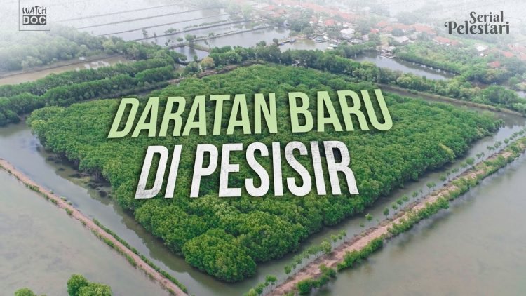 Watchdoc – Indonesia Documentary Channel