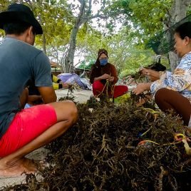 WatchdoC Documentary