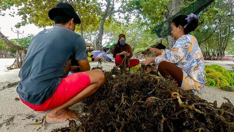 Watchdoc – Indonesia Documentary Channel