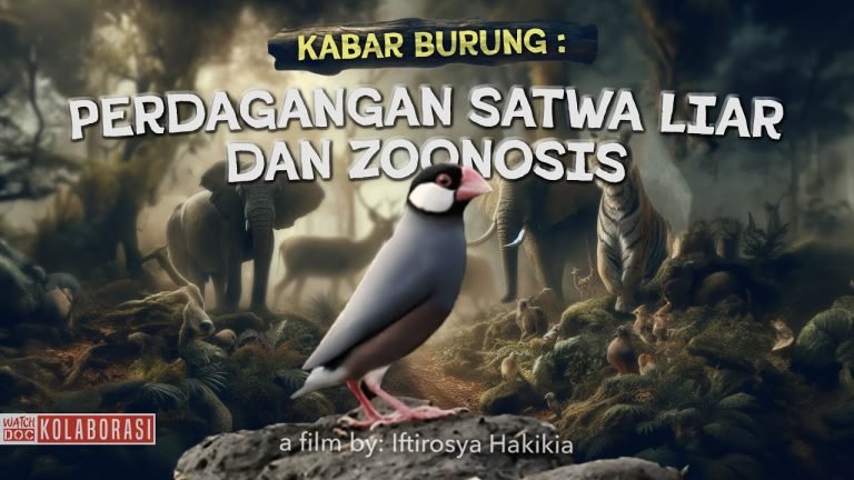 Watchdoc – Indonesia Documentary Channel